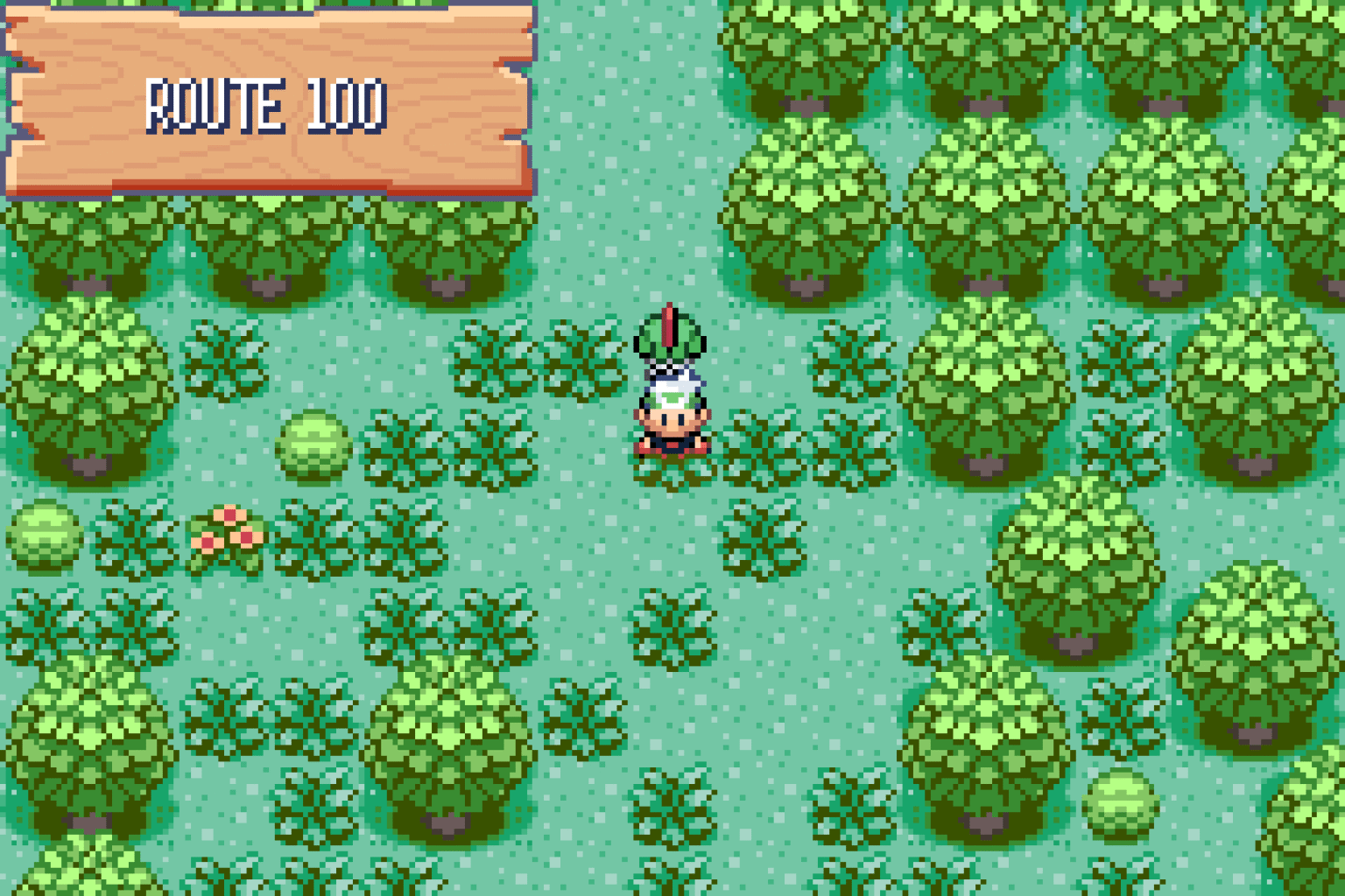 Pokemon Emerald Extended Cut