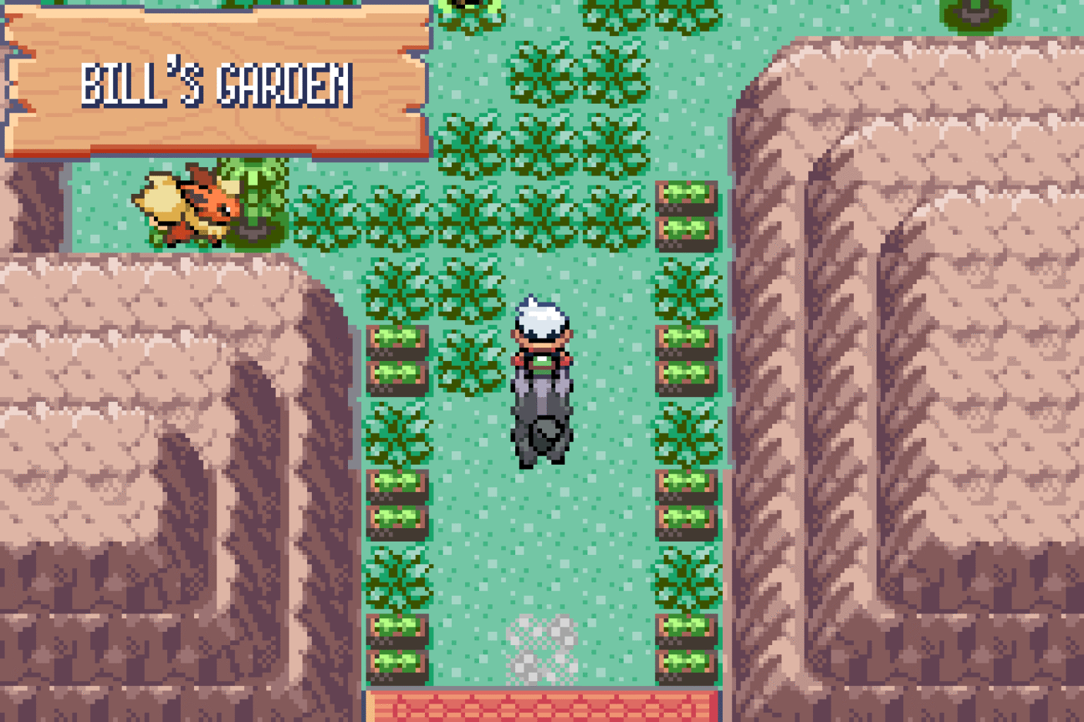 Pokemon Emerald Extended Cut